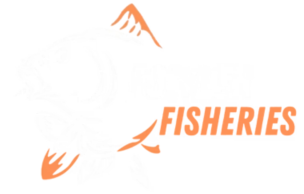 Fowler Fisheries | Benedict Fowler | Multi-business Entrepreneur